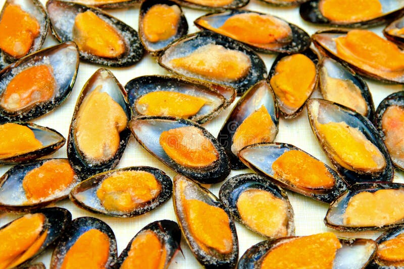 Shells stock image. Image of orange, seafood, bunch, food - 16073829