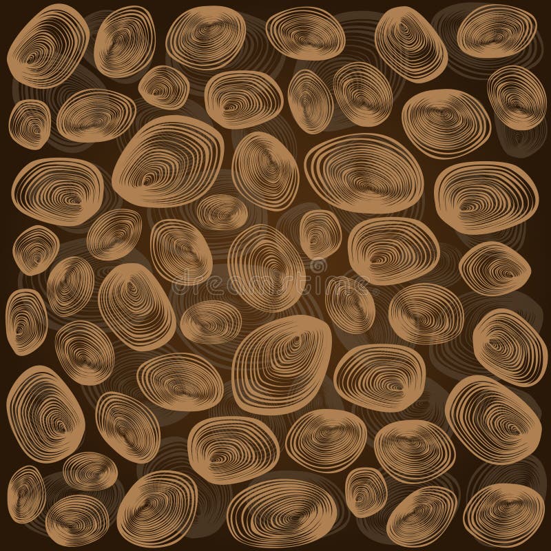 Shells stock vector. Illustration of design, fauna, abstract - 16931259