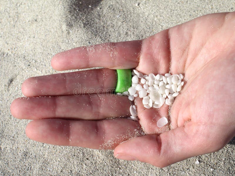Shells stock image. Image of hand, shell, skin, ocean - 27206063