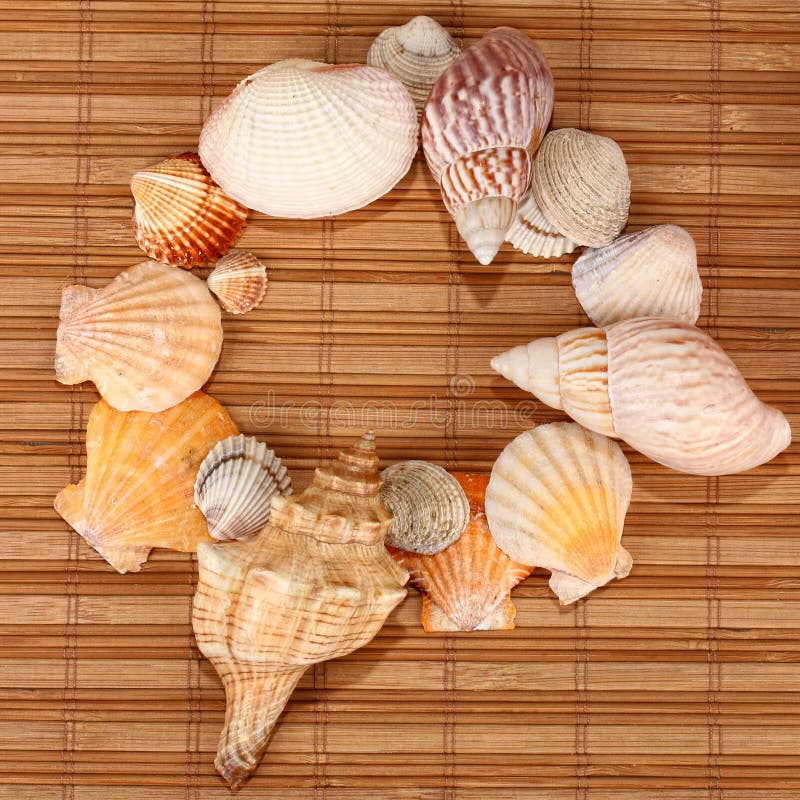 Shells stock image. Image of white, shells, creature - 28704511