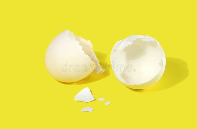 4,188 Fragile Shells Stock Photos - Free & Royalty-Free Stock Photos ...