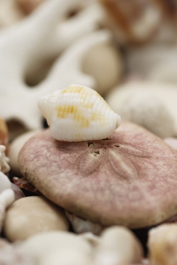 Fast moving train stock photo. Image of crowded, perspective - 9440342