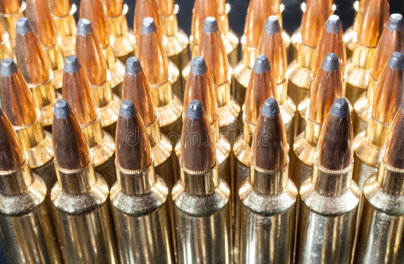 Shells stock image. Image of brass, shells, cartridge - 39312151