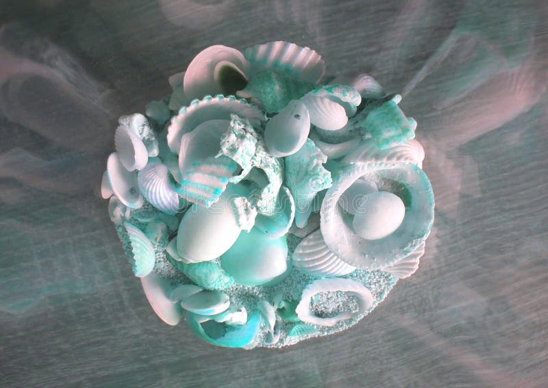 Shells aqua stock image. Image of bowl, shells, decor - 73218931