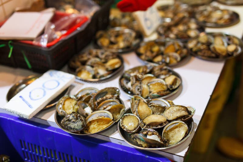 Shells stock image. Image of healthy, variety, pattern - 62696299