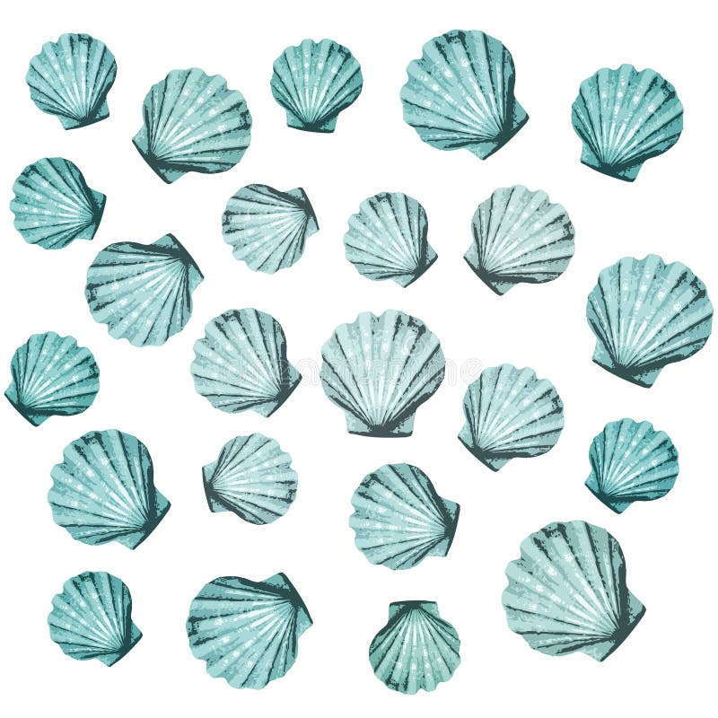 Sea shell sketch stock illustration. Illustration of paper - 44319160