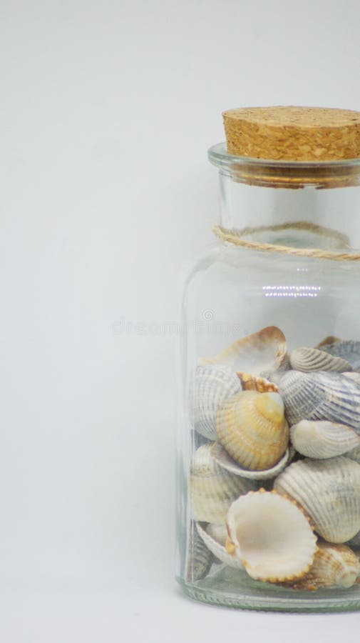 Shells in the Bank, Beautiful Message from the Sea Stock Image - Image ...