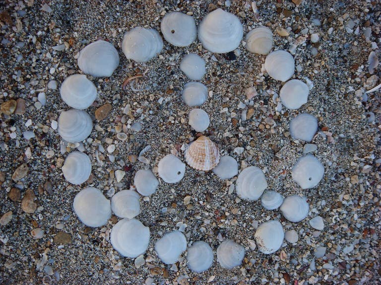 Shells on the Beach Peace Symbol Background Wallpapers Fine Prints ...