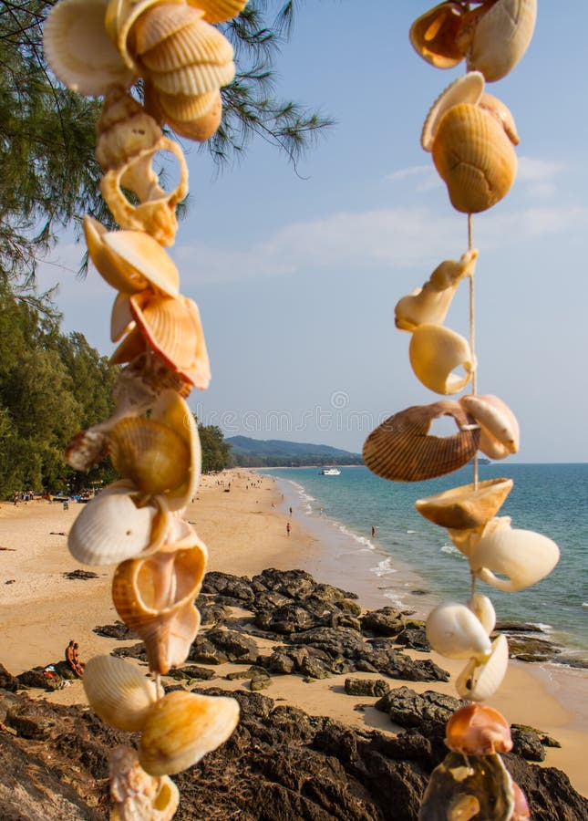 Shells beach stock photo. Image of sand, holiday, relax - 54743606