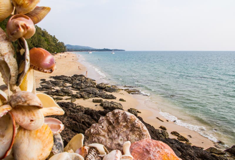 Shells beach stock image. Image of island, outdoor, destination - 54744025