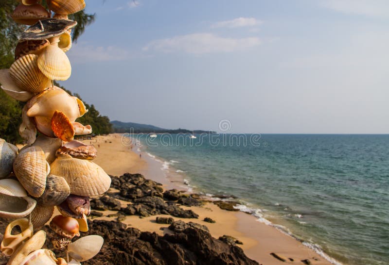 Shells beach stock image. Image of getaway, beach, holiday - 55282901