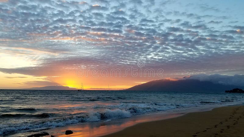 Shells on Beach stock image. Image of boat, sand, rock - 94256625