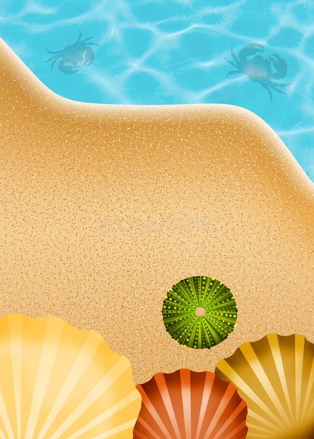 Shells on the beach stock illustration. Illustration of beach - 39129950