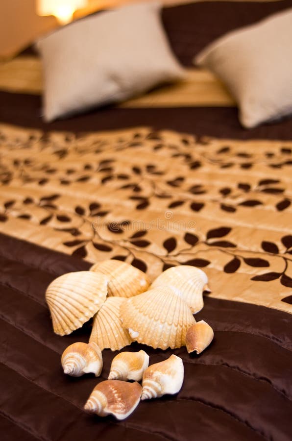 Shells on bed stock image. Image of lifestyle, floral - 31669285