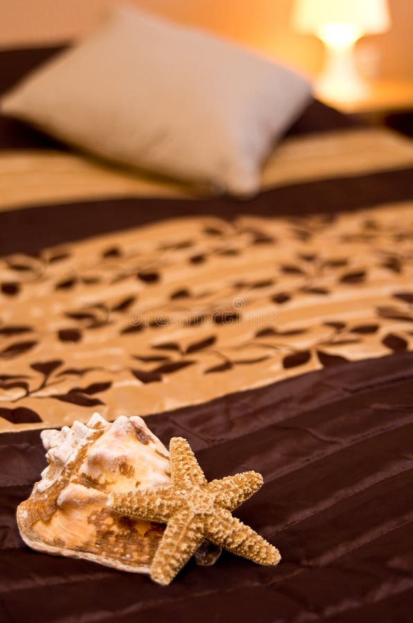 Shells on bed stock image. Image of lifestyle, floral - 31669285