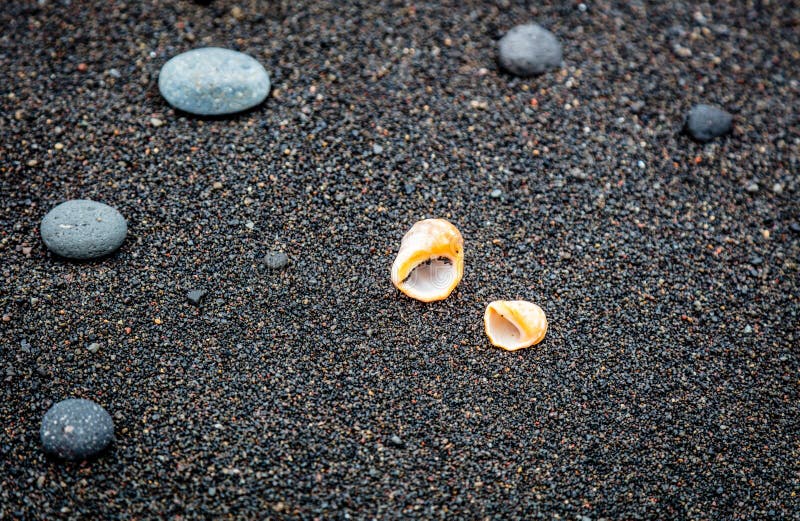 Shells on Black Sand Beach in Padangbai, Bali Island, Indonesia Stock ...