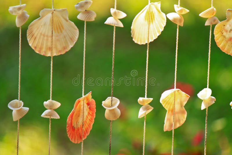 Shells blinds stock image. Image of ornament, shell, decorative - 29554297