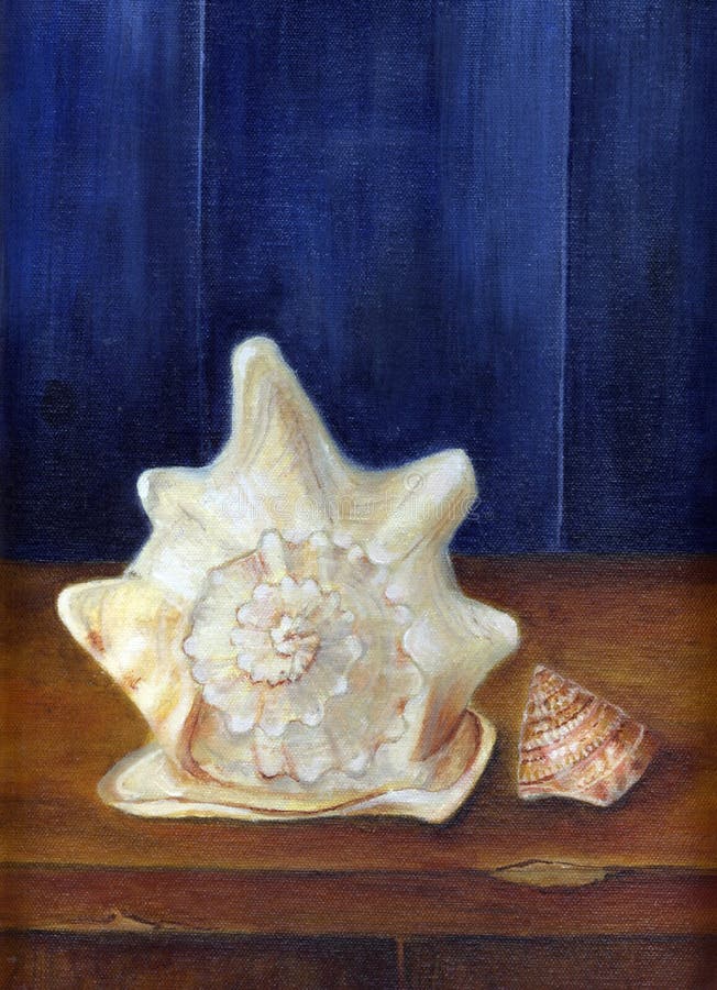 Still Life Shells Stock Illustrations – 98 Still Life Shells Stock ...