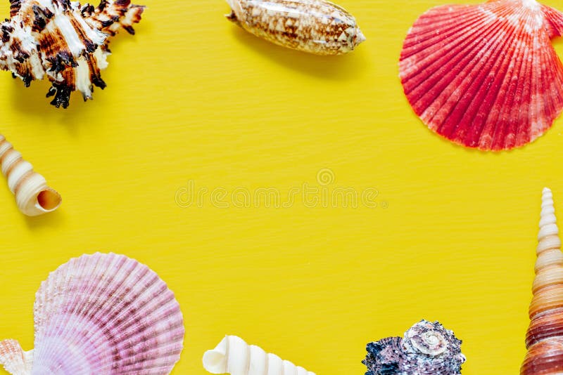 Shells on Bright Yellow. Beautiful Summer Background. Flat Lay. Texture ...