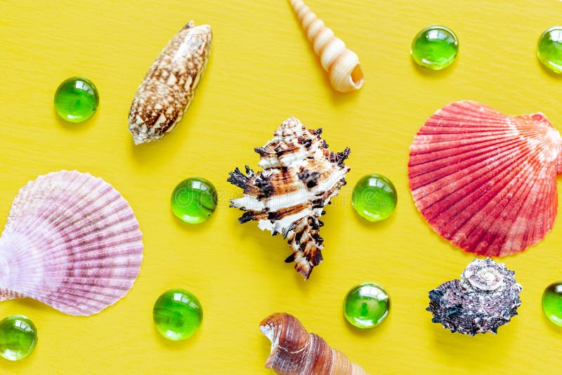 Shells on Bright Yellow. Beautiful Summer Background. Flat Lay. Texture ...