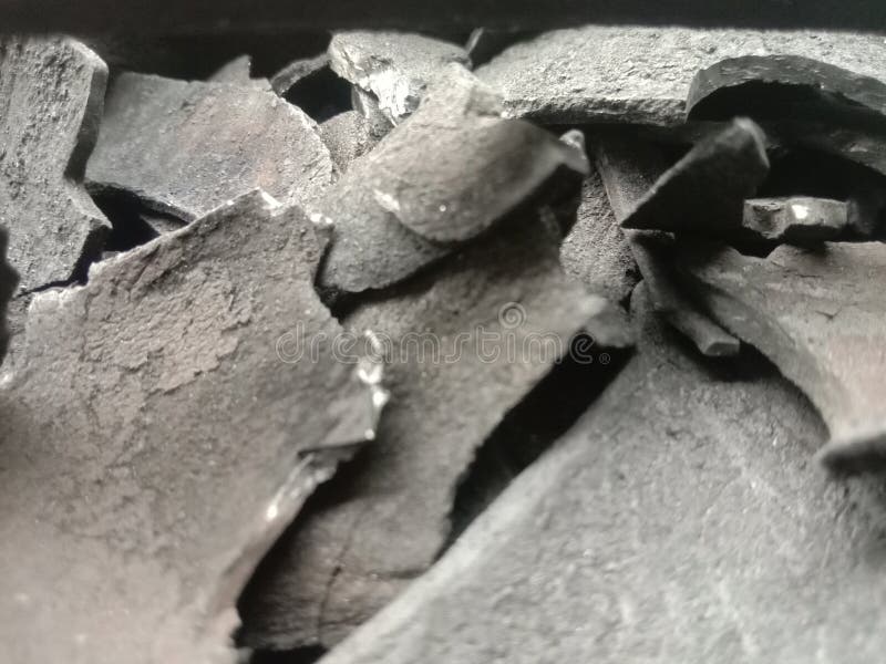 Dark Shell Charcoal stock image. Image of shells, dark - 222044739