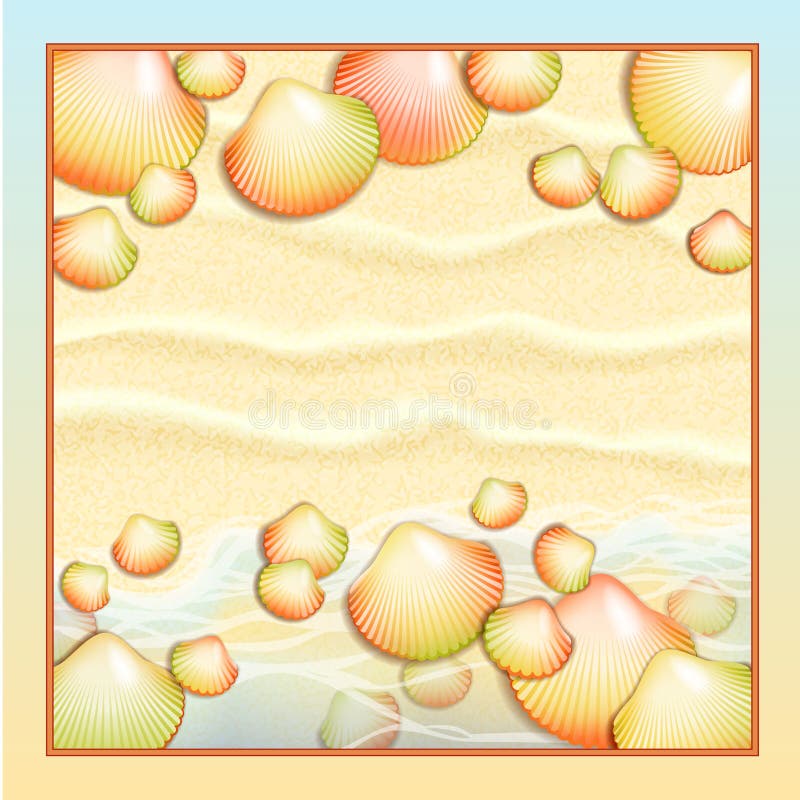 Shells on the coast stock vector. Illustration of beach - 68529252