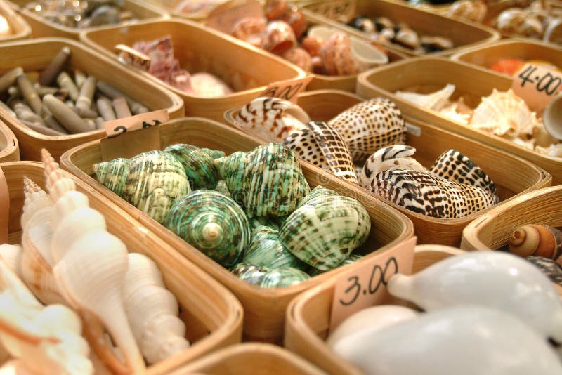 Shells Collectible for Sale on Market Stall Stock Photo - Image of ...