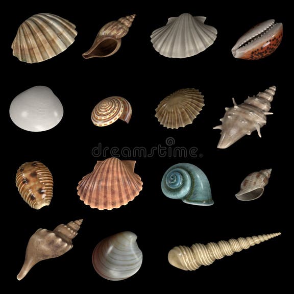 Limpet Stock Illustrations – 211 Limpet Stock Illustrations, Vectors ...