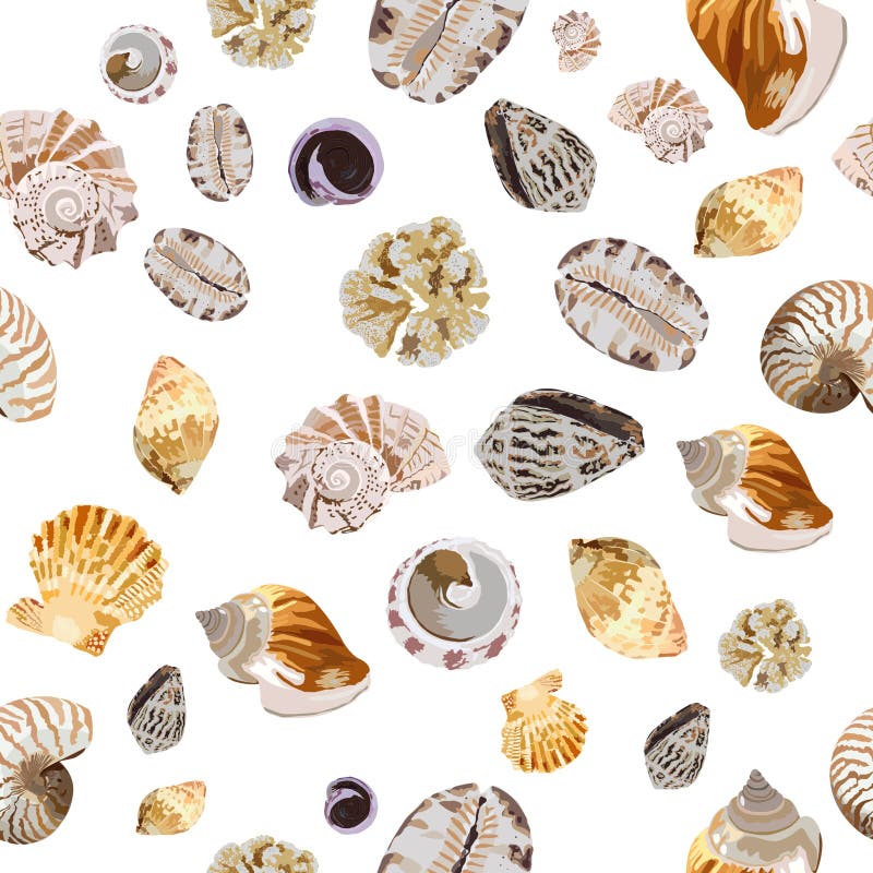 Shells Collection Repeat Pattern from Maldives Stock Vector ...