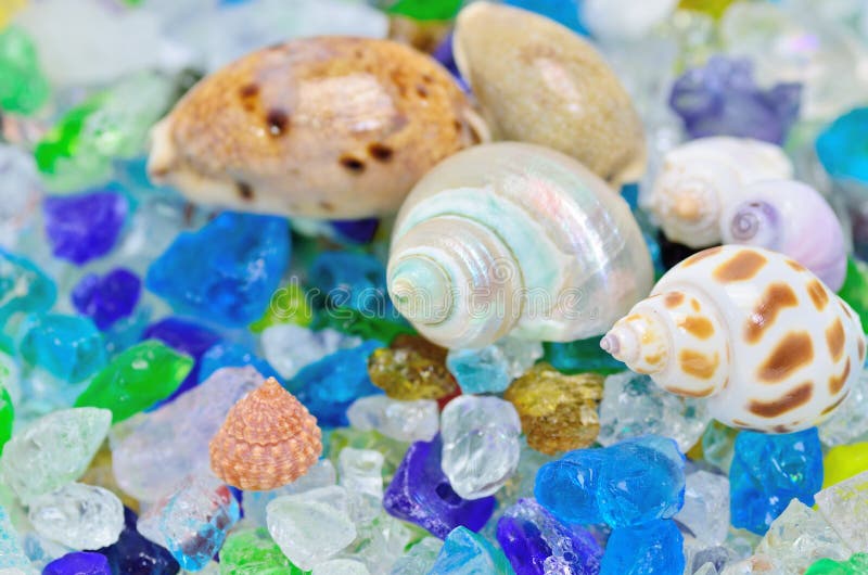 Shells and colored glass. stock photo. Image of summer - 25614720