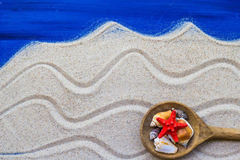 Shells Colored Spoon Beach Sand Stock Photo - Image of coast, shell ...