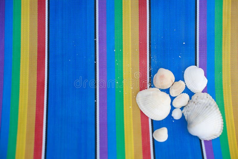 Shells on Colorful Background Stock Photo - Image of marine, beautiful ...