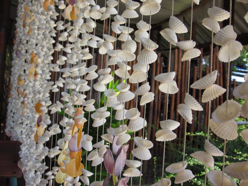 Shell Curtain Stock Photos - Download 460 Royalty Free Photos