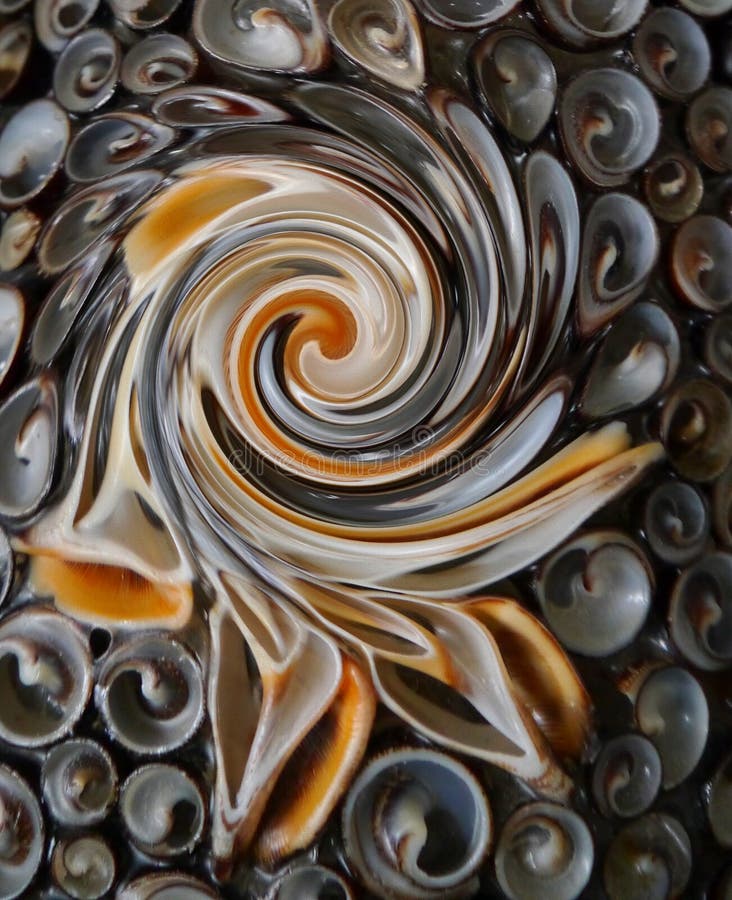 Shells design abstract stock image. Image of shells, light - 41179545