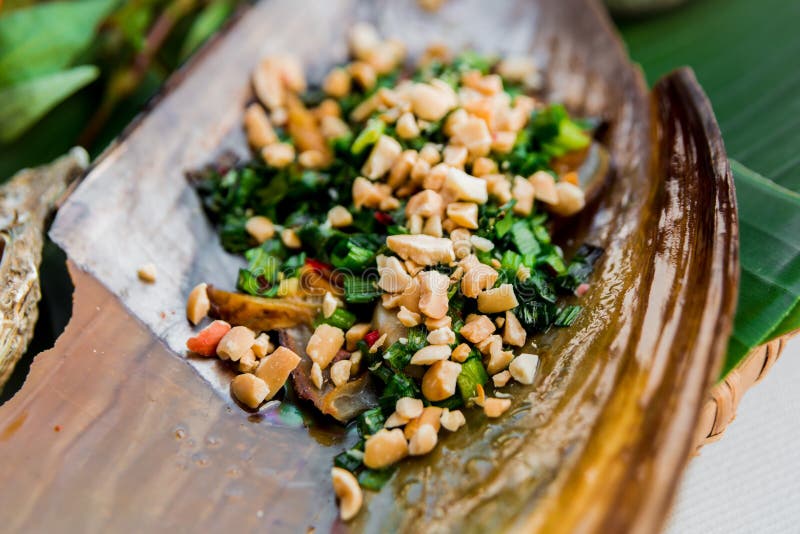 Shells on the dish stock photo. Image of palm, food, life - 65027012