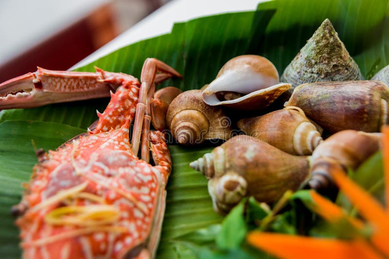 Shells on the dish stock image. Image of freshness, mussel - 65027531