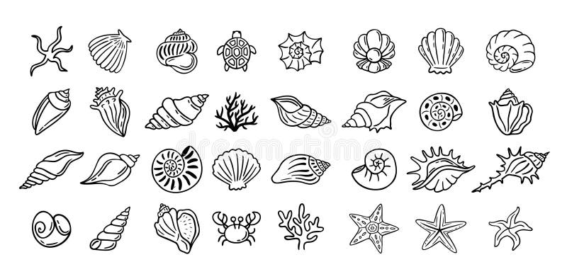 Shells Doodle Hand Drawn Style Set. Outline Seashells, Starfish Black ...