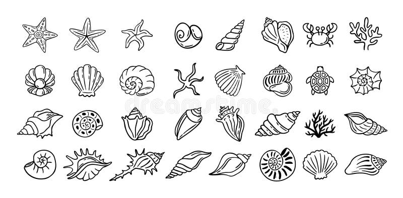 Shells Doodle Hand Drawn Style Set. Outline Seashells, Starfish Black ...