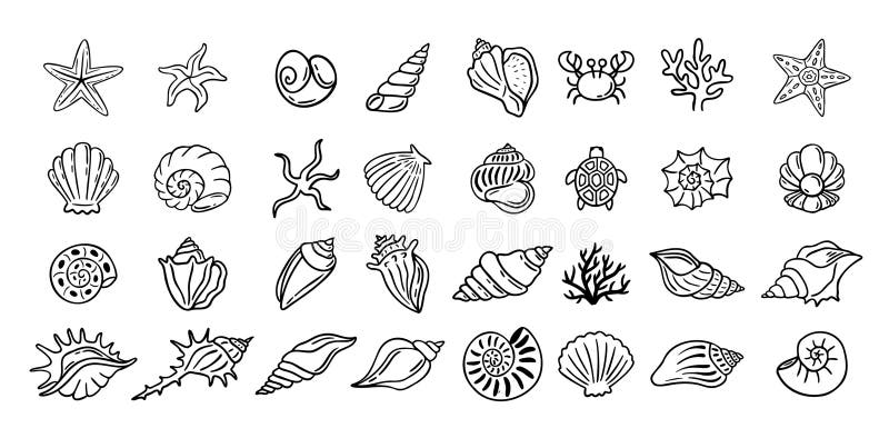 Shells Doodle Hand Drawn Style Set. Outline Seashells, Starfish Black ...