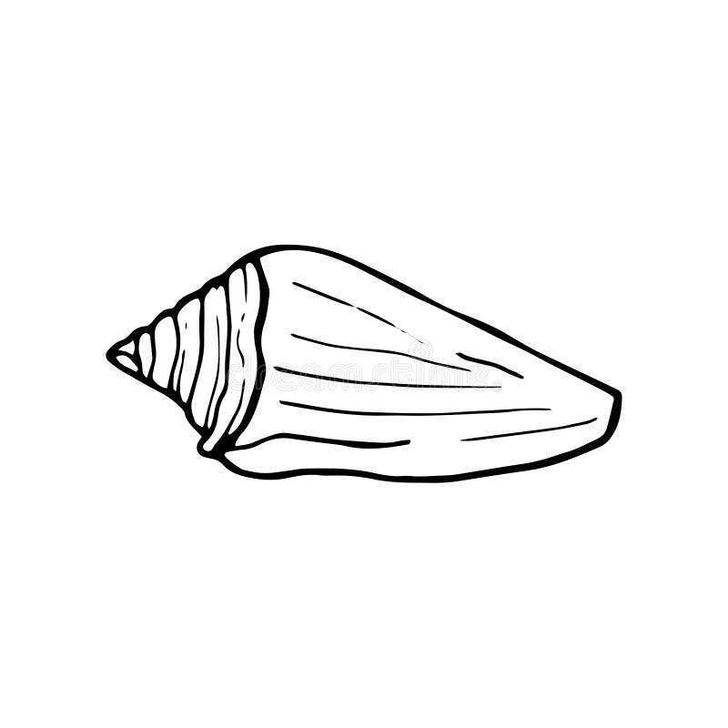 Shells Doodle Set. Hand-drawn Vector Sea Sell. Stock Illustration ...