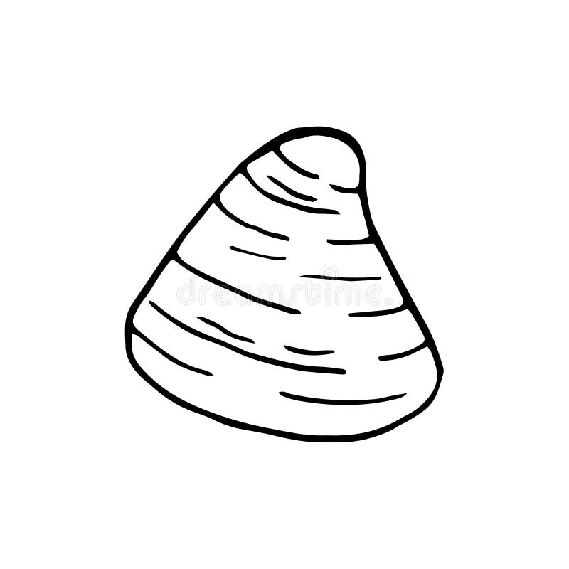 Shells Doodle Set. Hand-drawn Vector Sea Sell Stock Vector ...