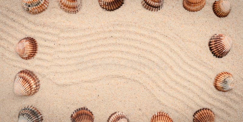 Shells on Fine Sandy Bottom with Free Space. Stock Image - Image of ...
