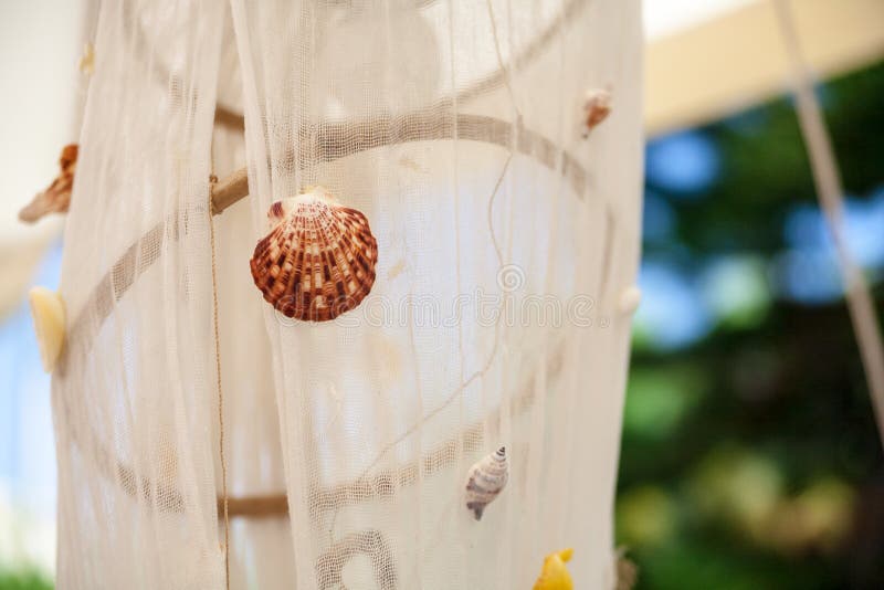 Shells on fishing net stock photo. Image of artistic - 18586964