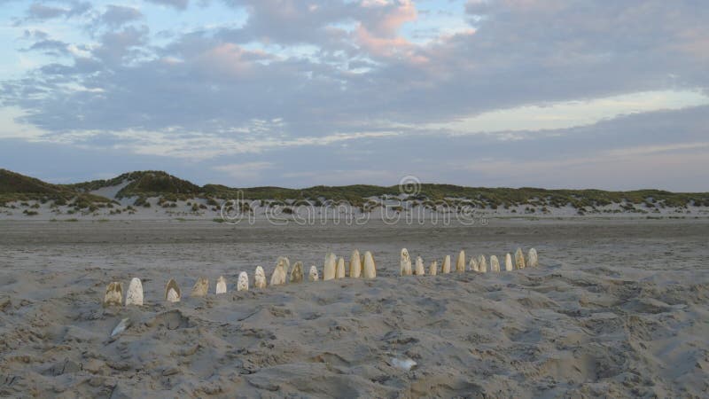 Shells Forming a Line on the Beach Stock Image - Image of color, sand ...