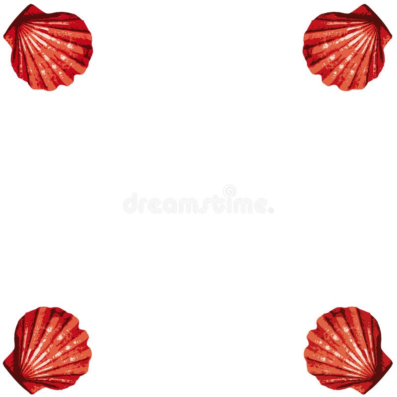 Colorful Cowrie or Cowry Sea Shell, Sketch Style Vector Illustration ...