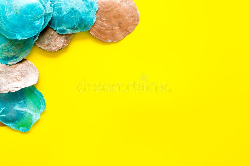 Shells Frame on Yellow Background Top View Copyspace Stock Image ...