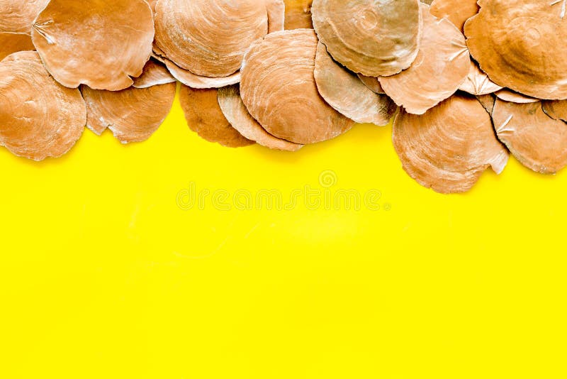 Shells Frame on Yellow Background Top View Copyspace Stock Image ...
