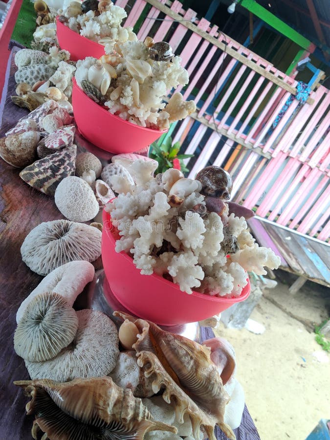 Shells and Friends on the Day Stock Photo - Image of shells, good ...