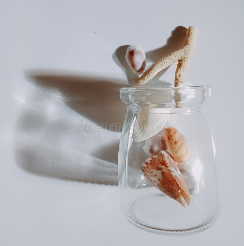 Shells in a glass bottle stock image. Image of souvenir - 320755979