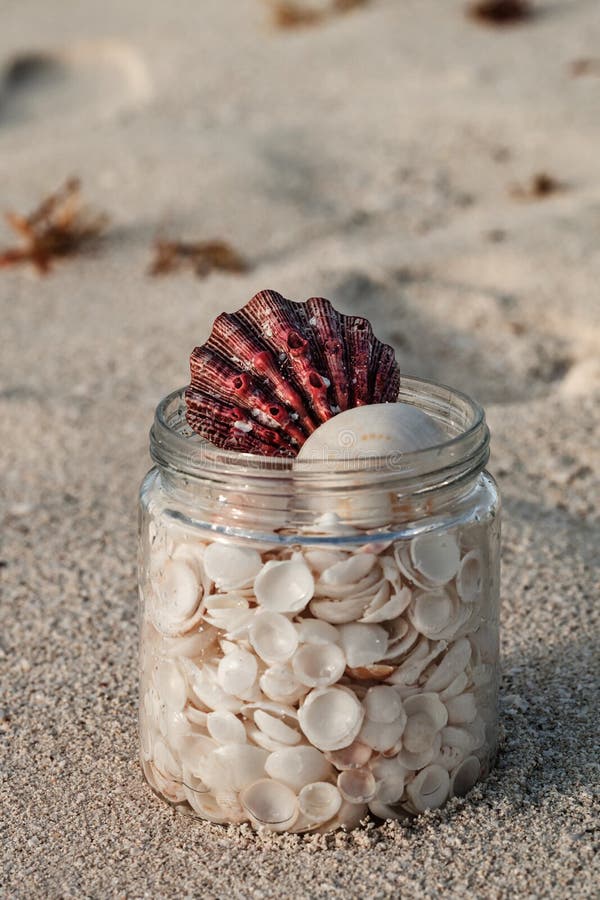 Shells in a Glass Jar on the Sand Beach, Tropical Landscape Stock Photo ...